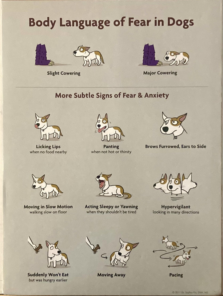 Yin, Sophia - Body Language of Fear in Dog – Incurable Collector