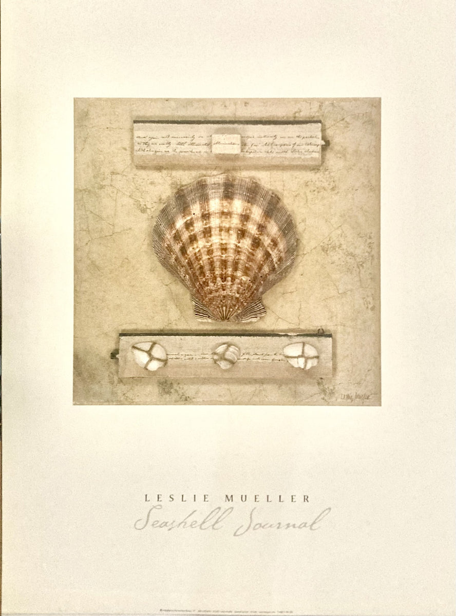 Leslie Mueller - Seashell – Incurable Collector