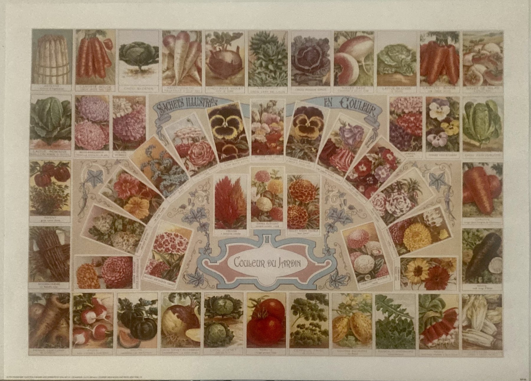 Badot - Colour From The Garden – Incurable Collector