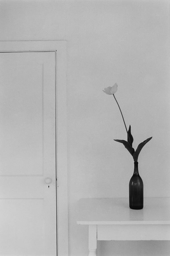 Lilo Raymond - Tulip – Incurable Collector